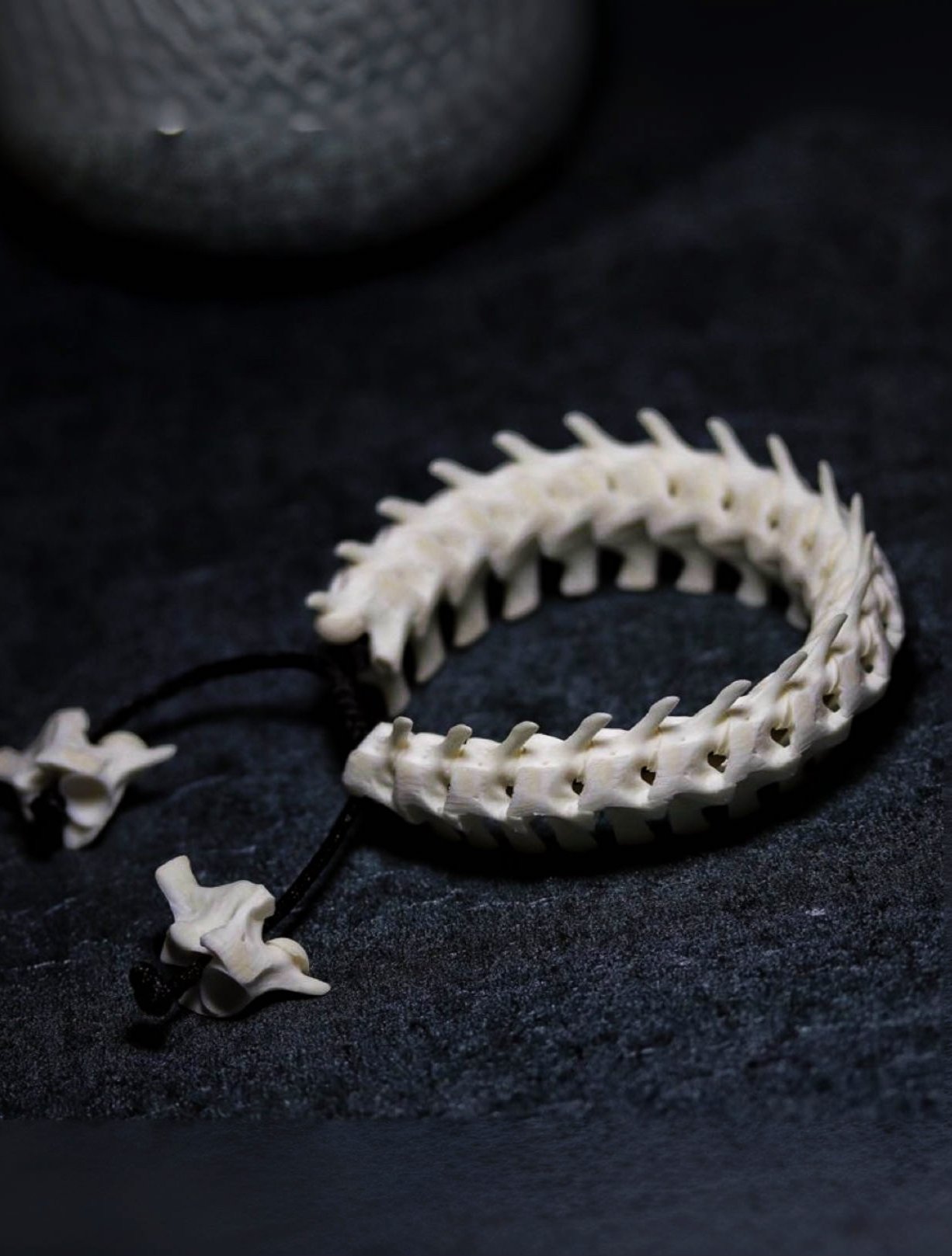 Plain Ring – Python Bone Style – Blingg Jewelry